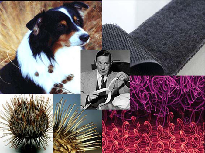 El Velcro – Textiles Chile